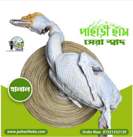 Mountain Duck - পাহাড়ি দেশী হাঁস | - Pahar Theke